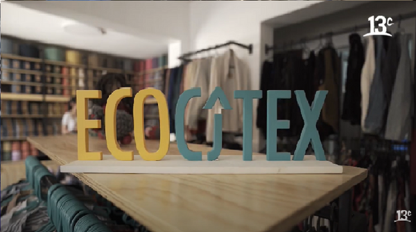 Apariciones en Prensa de Ecocitex