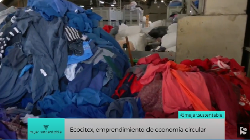 Apariciones en Prensa de Ecocitex