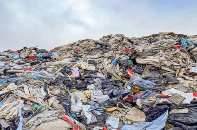 Misión, Historia y Equipo Ecocitex